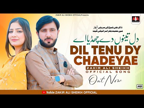Dil Tenu Dy Chadyae | Zakir Ali Sheikh New Saraiki Punjabi Official Video Song 2024 | Eid Gift