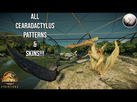 Steam Community :: Video :: ALL CEARADACTYLUS PATTERNS & SKINS SHOWCASE ...
