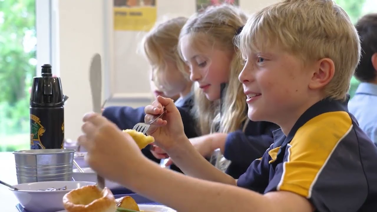 The Mead School Video