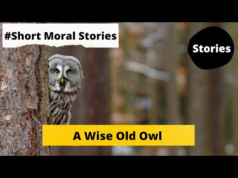A Wise Old Owl | a wise old owl story in english | inspirational short stories
