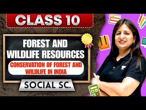 Forest And Wildlife Resources: Conservation of Forest And Wildlife in India | Class 10 Geography