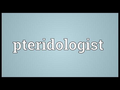 Pteridologist Meaning