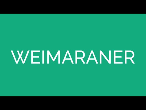 How To Pronounce Weimaraner