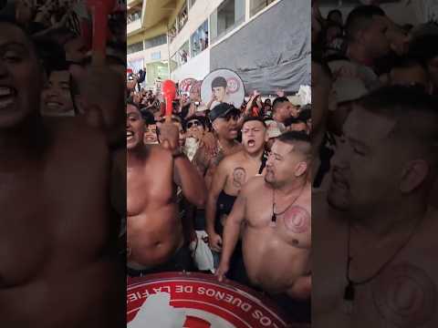 UNIVERSITARIO DE DEPORTES - TRINCHERA NORTE - MON(U)MENTAL 🌟 #shorts #youtubeshorts #youtube #video