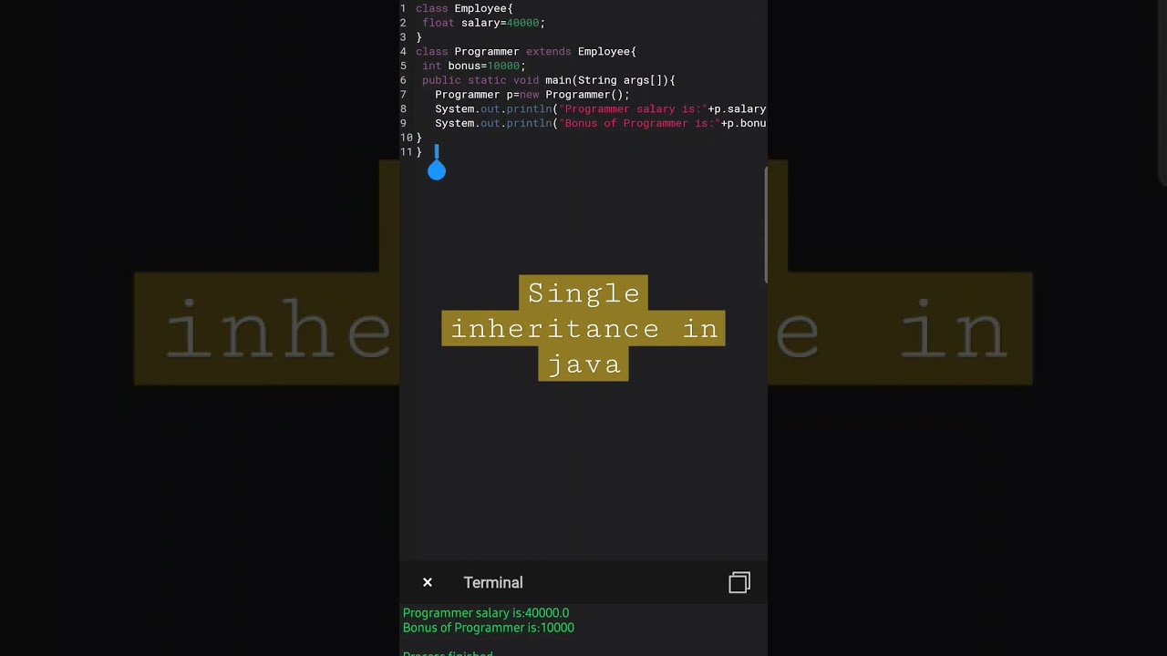 Single Inheritance in java Programming