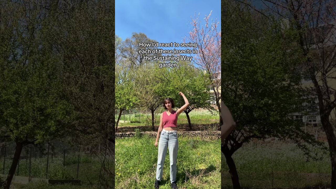 The fire ants in SC are a nuisance tbh 🐜🚫