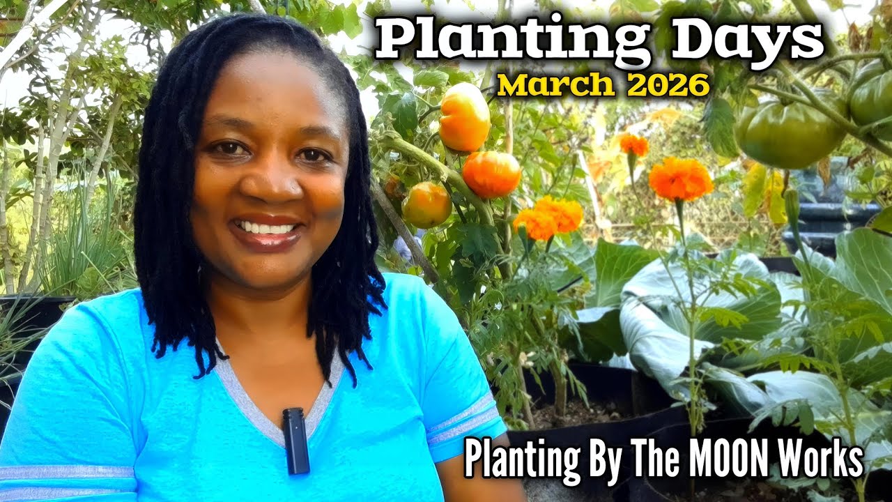 Planting Days For March 2026 Using The MOON Phases/Your Gardens Will EXPLODE WITH GROWTH 