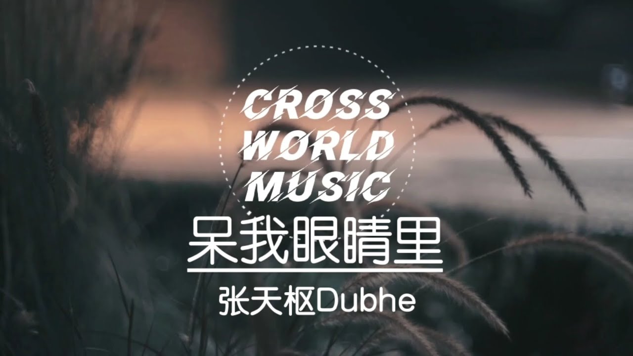 呆我眼睛里 - 张天枢Dubhe  （歌词）Lyrics