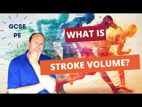 GCSE PE: What is stroke volume?