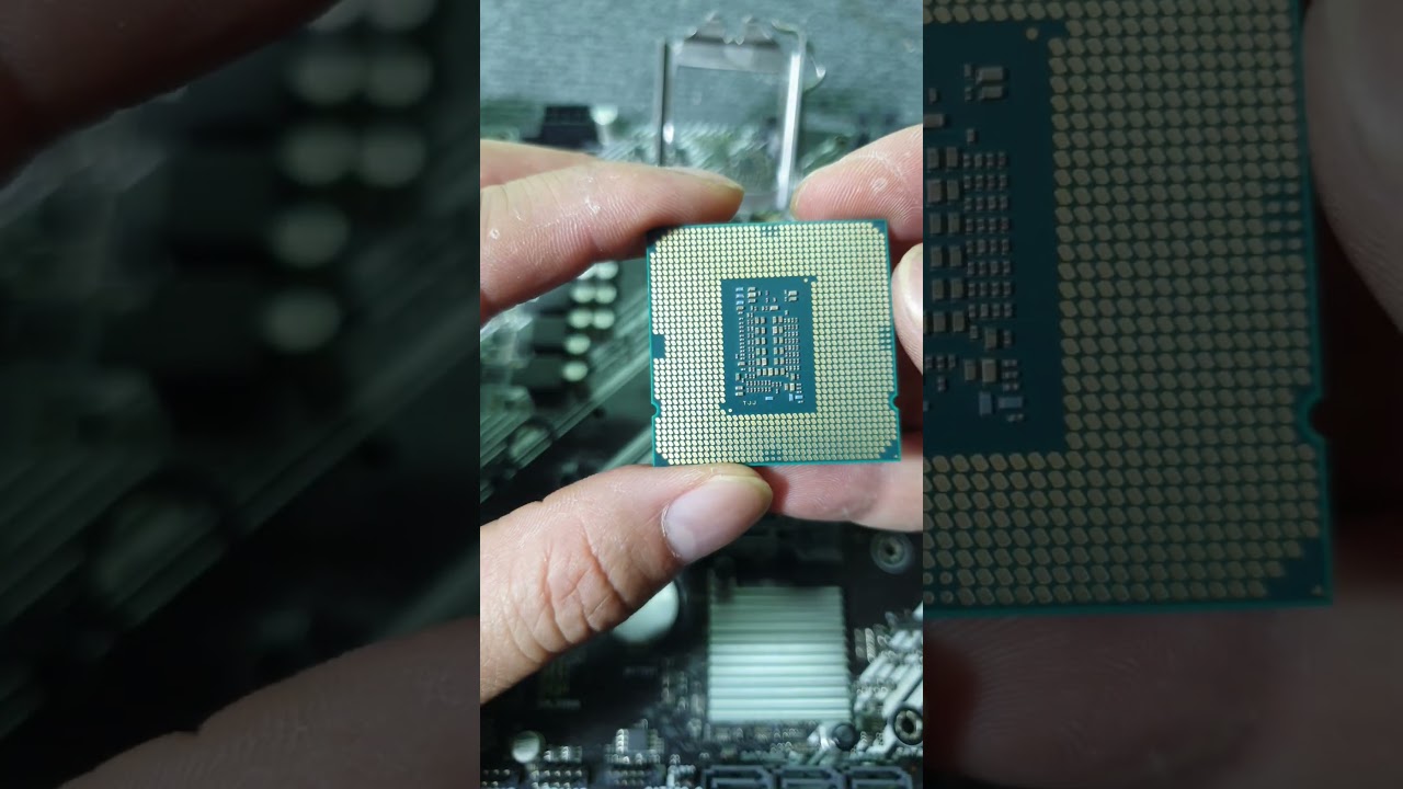 CPU Installation Intel i3 10105F #shorts