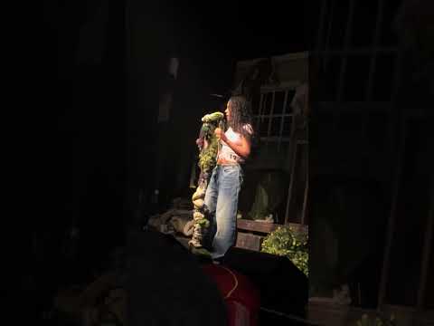 Samara Cyn - Live at The Norva