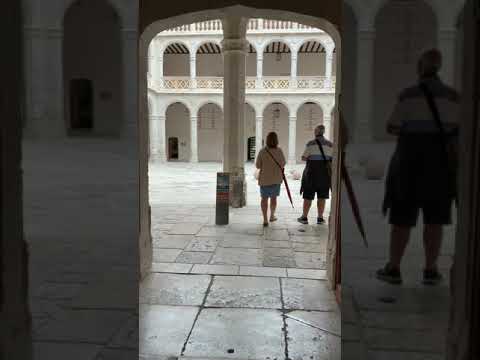 Museos seguros: cómo son las visitas al Museo de Arte Africano Arellano Alonso de la UVa