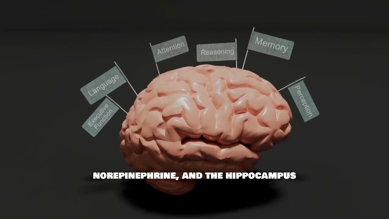 The Vortex Protocol 2.0: Unleashing Unstoppable Influence