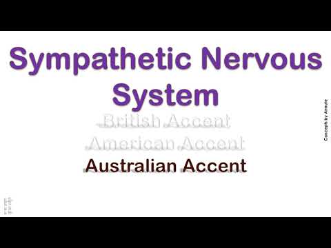 Sympathetic Nervous System How to Pronounce Sympathetic Nervous System in American Accent ?