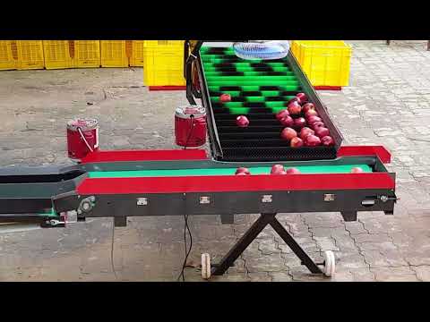 Fruit Grading Machine - Lemon Grading Machine Latest Price ...