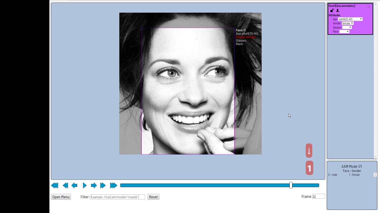 Computer Vision Annotation Tool (CVAT): attribute mode
