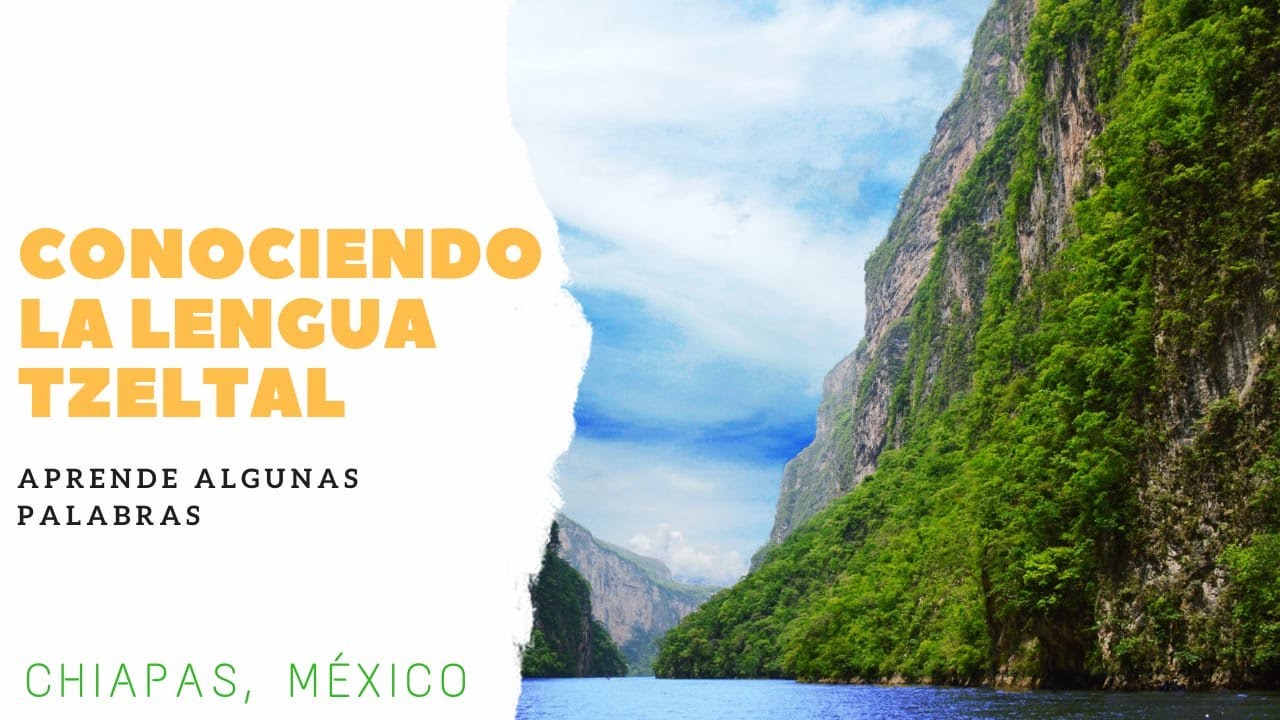 CONOCIENDO LA LENGUA TZELTAL