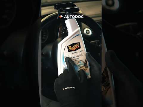 Comment se débarrasser d'une odeur désagréable à l'intérieur de votre voiture ? | AUTODOC #shorts