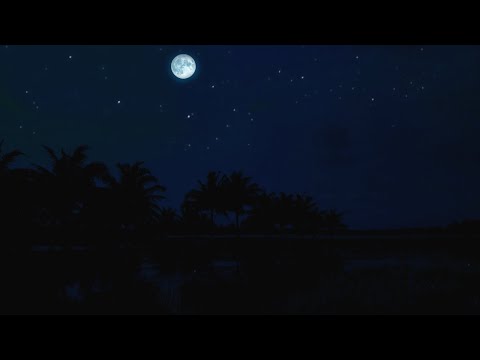 Soothing Cricket & Frog Sounds | Sounds for Sleeping 99% Natural | 3 Hours | Nighttime atmosphere