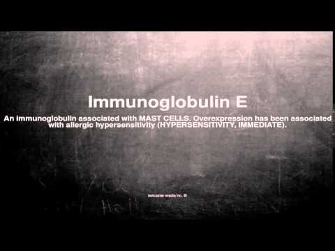 Medical vocabulary: What does Immunoglobulin E mean