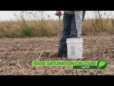 Base Saturation Calcium #1071 (Air Date 10-14-18)