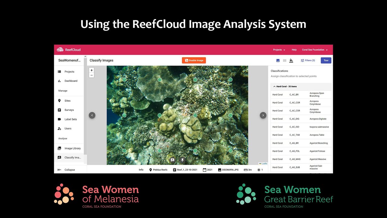 Using the ReefCloud System