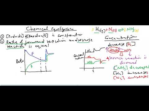 GRAPHS |CONCENTRATION | DYNAMIC EQUILIBRIUM