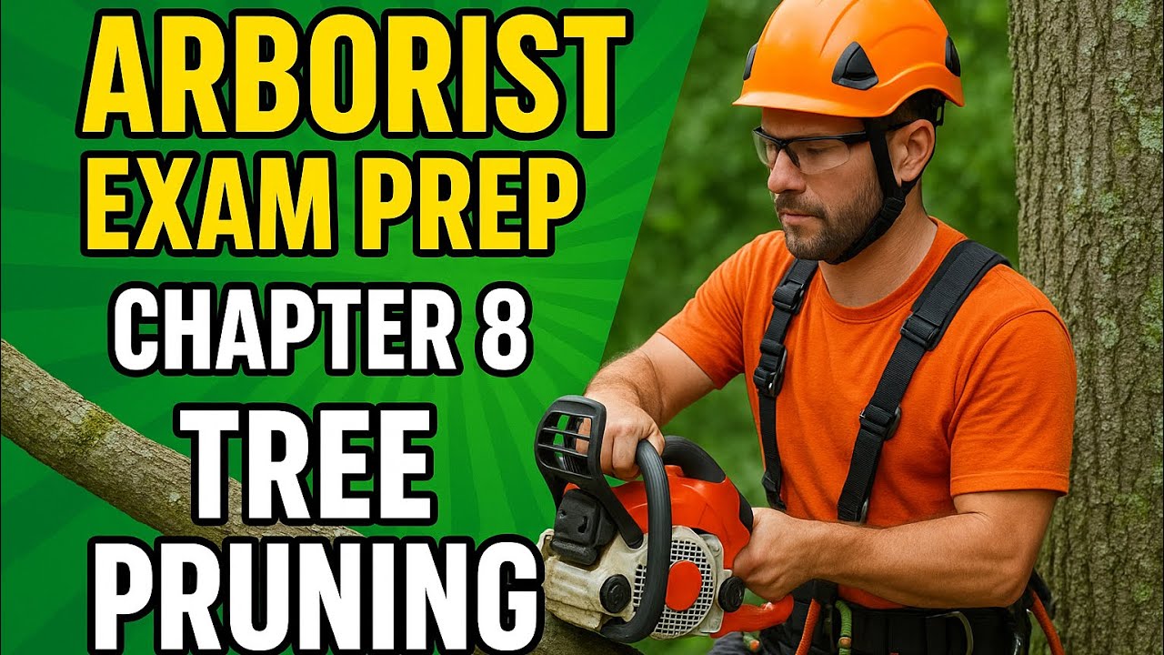 Arborist Exam Prep: Chapter 8 - Pruning