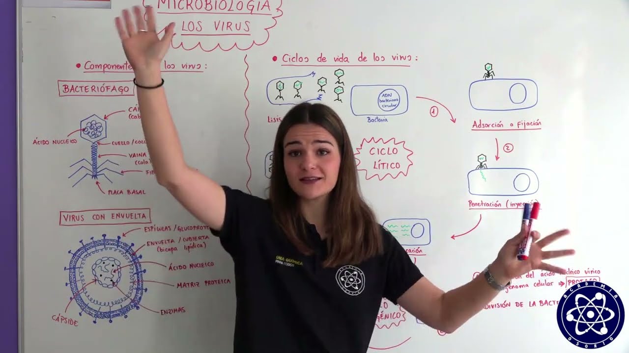 17. Microbiología. Los virus