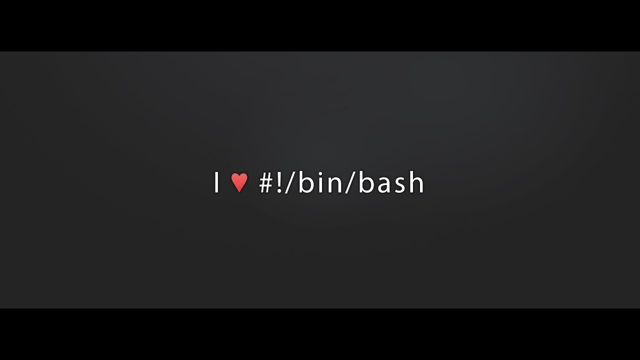 Shell scripting - github analysis