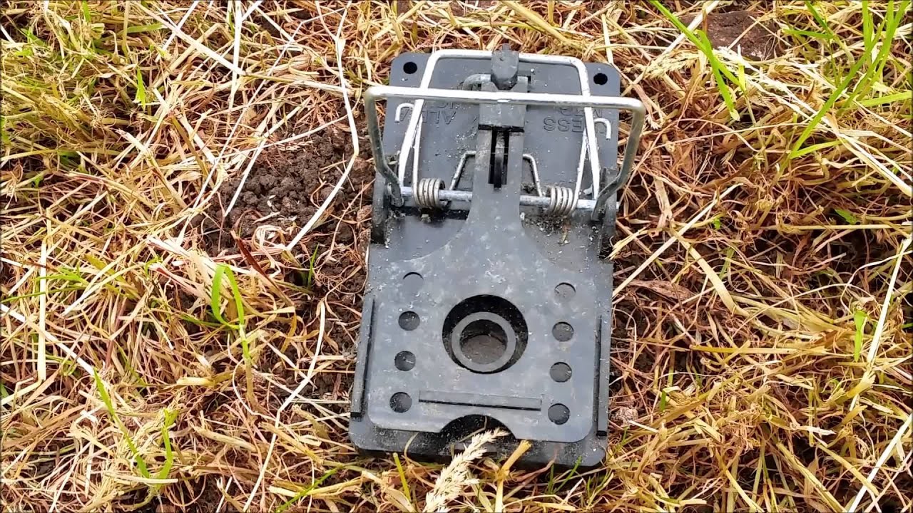 Setting The Snap E Rat Trap