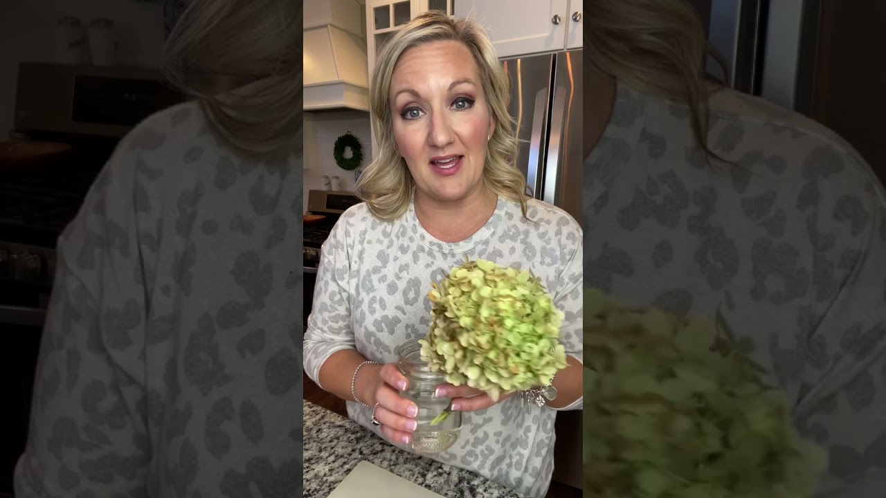 Pelajari cara mengawetkan bunga hortensia