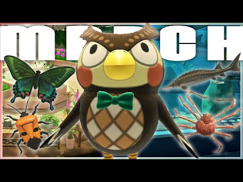 March Fish & Bug Guide | Animal Crossing New Horizons
