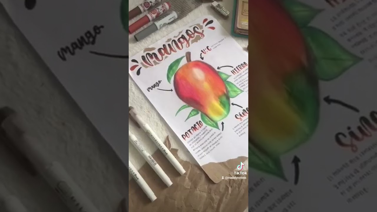 IDEAS DE MAPAS MENTALES 💫🌱🌿