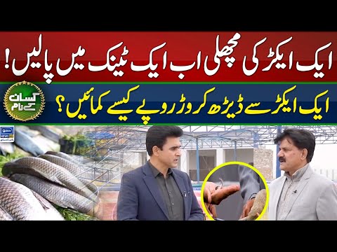 One acre fish in one tank | Biofloc fish farming | Modern fish farming | Kissan Kay Naam | EP 49