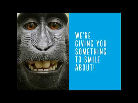 DDS Dental Supplies