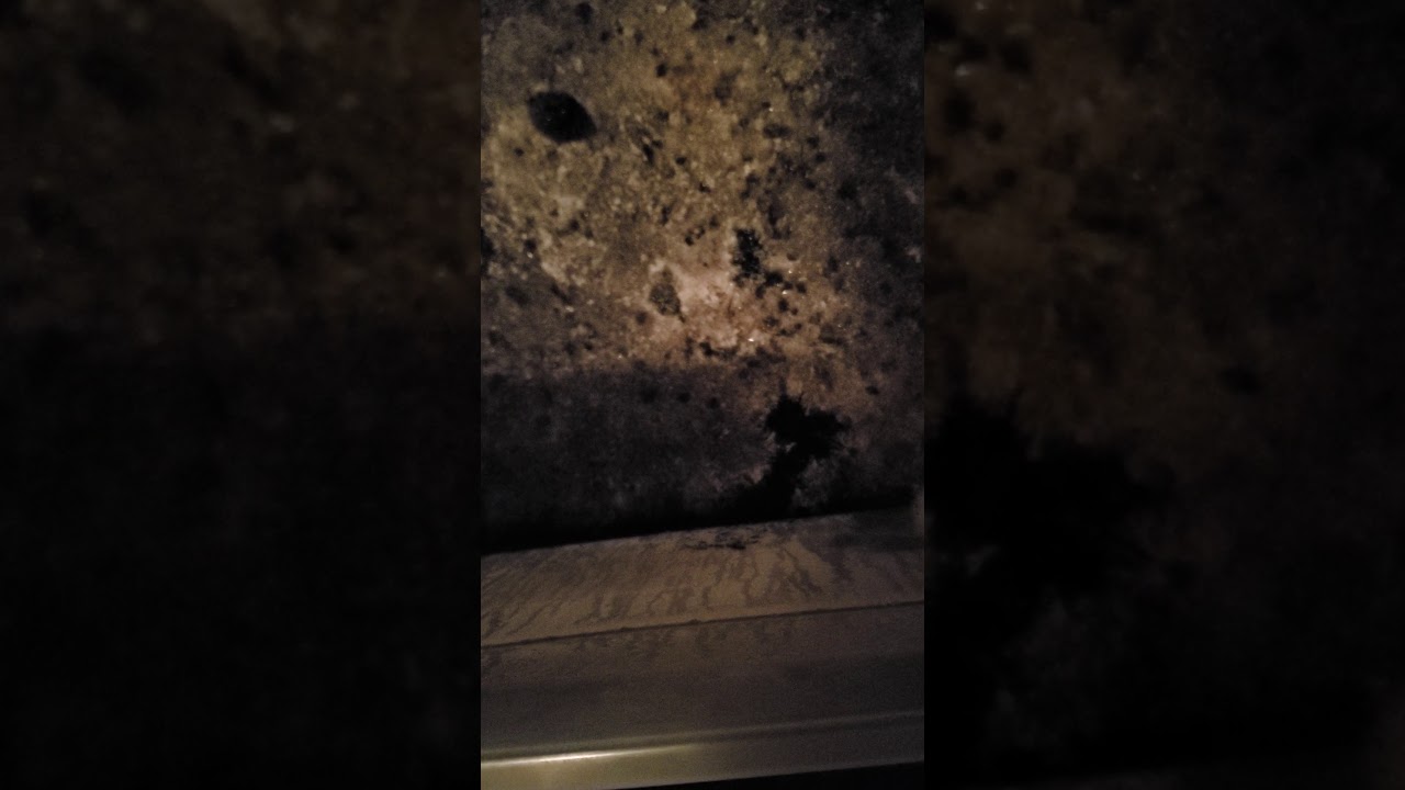 Penis envy (trichiderma quarantine