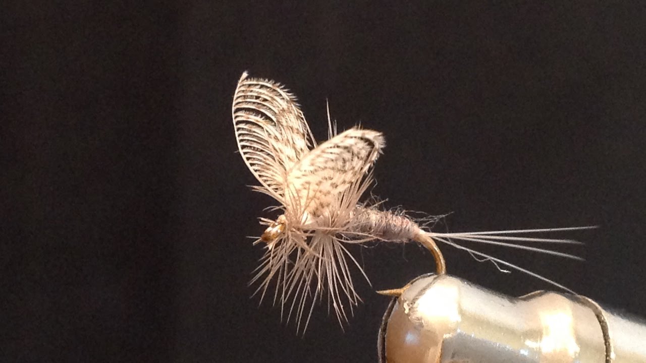 How To Create Wally Wings (Mayfly)