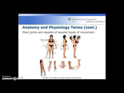 Medical Terminology - Chapter 14.1