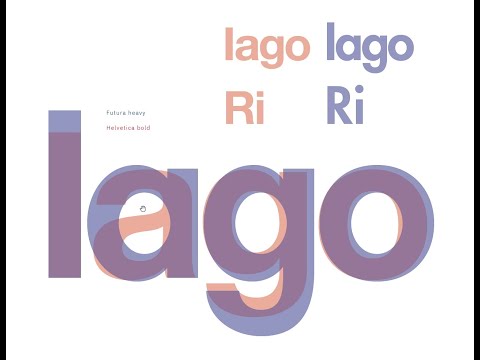 Basic Type Classifications Overview