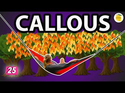 Callous Meaning | Synonym | Antonym | Examples | Daily vocabulary for competitive exams | #25