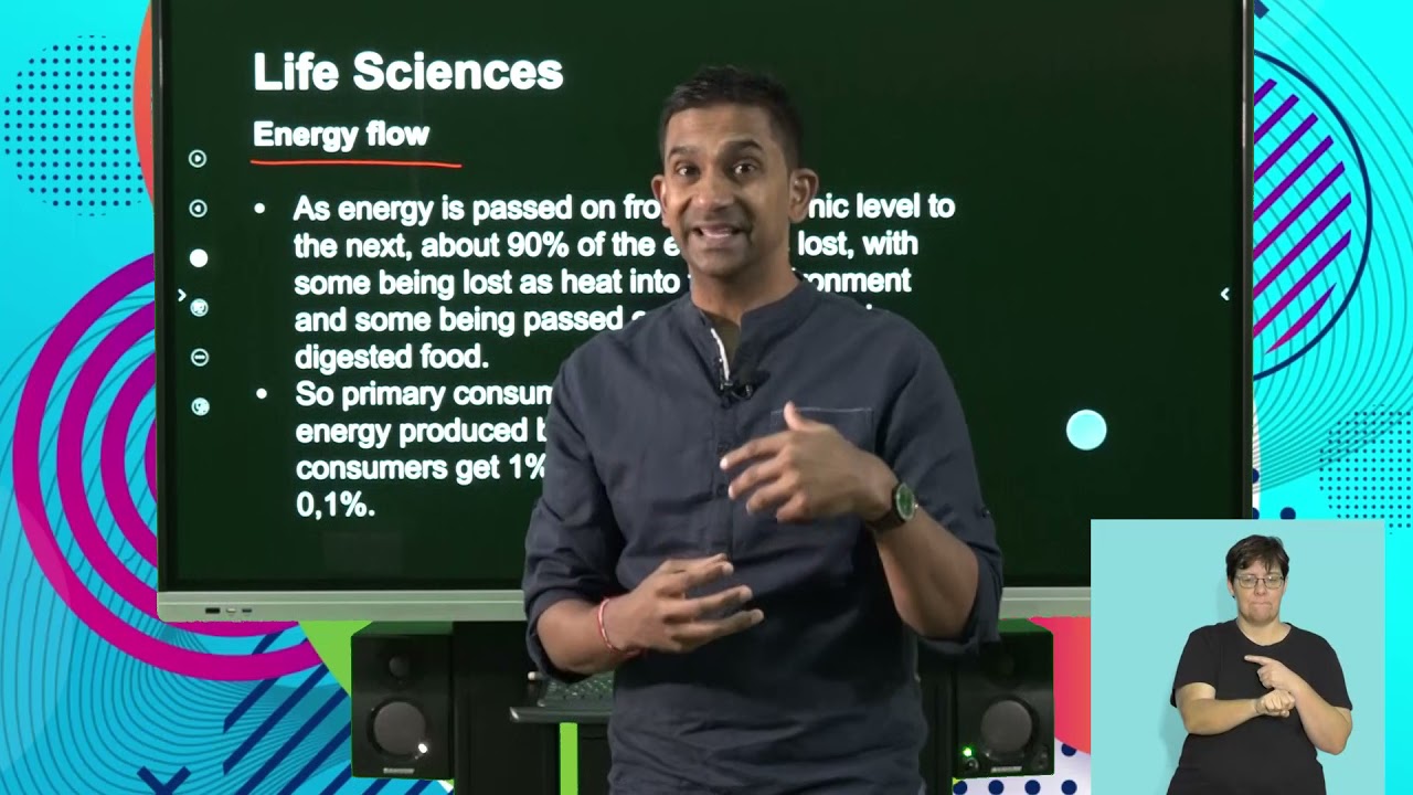Life Sciences Grd 10 Ecosystem: Energy flow, Trophic Levels, Ecological Pyramids