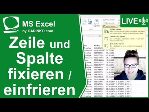 Indra Kohl Live - Zeilen und/oder Spalten fixieren bzw. einfrieren in MS Excel - carinko.com