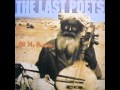 Hold Fast by The Last Poets