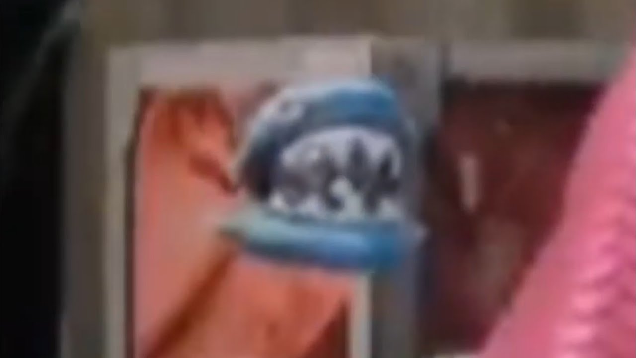 when you get the buoy trap ghost shell