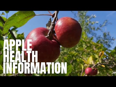🍎 Apple Health Information!