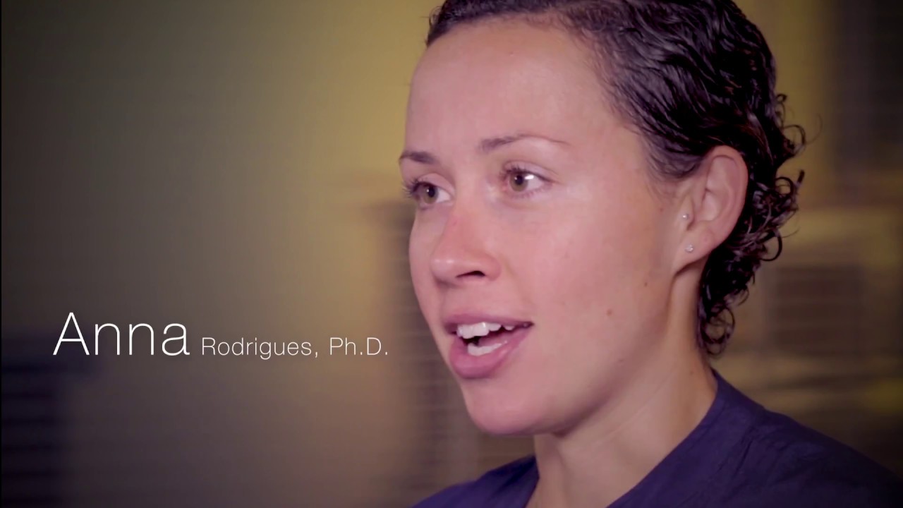 Medical Physics 3.0 - A Vision into the Future