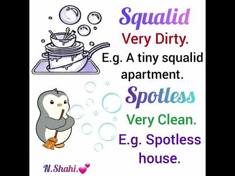 Opposite Words! ❌ Squalid, ✅ Spotless.