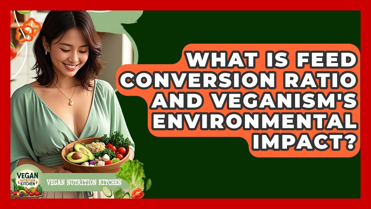 What Is Feed Conversion Ratio And Veganism's Environmental Impact? - Vegan Nutrition Kitchen